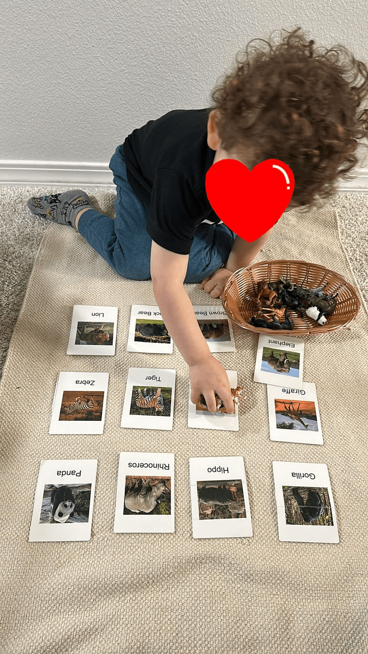 Little Genius Bilingual Child Care and Pre School Offers Preschool ...